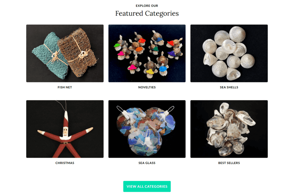 Darlene's Shells - B2B Website Platform Developer - Bright Vessel